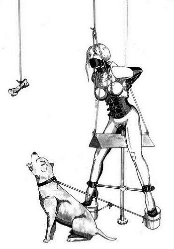 Shemale Sissy Bdsm Photo 40