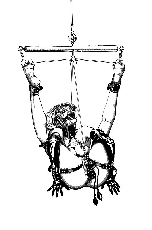 Shemale Sissy Bdsm Photo 44