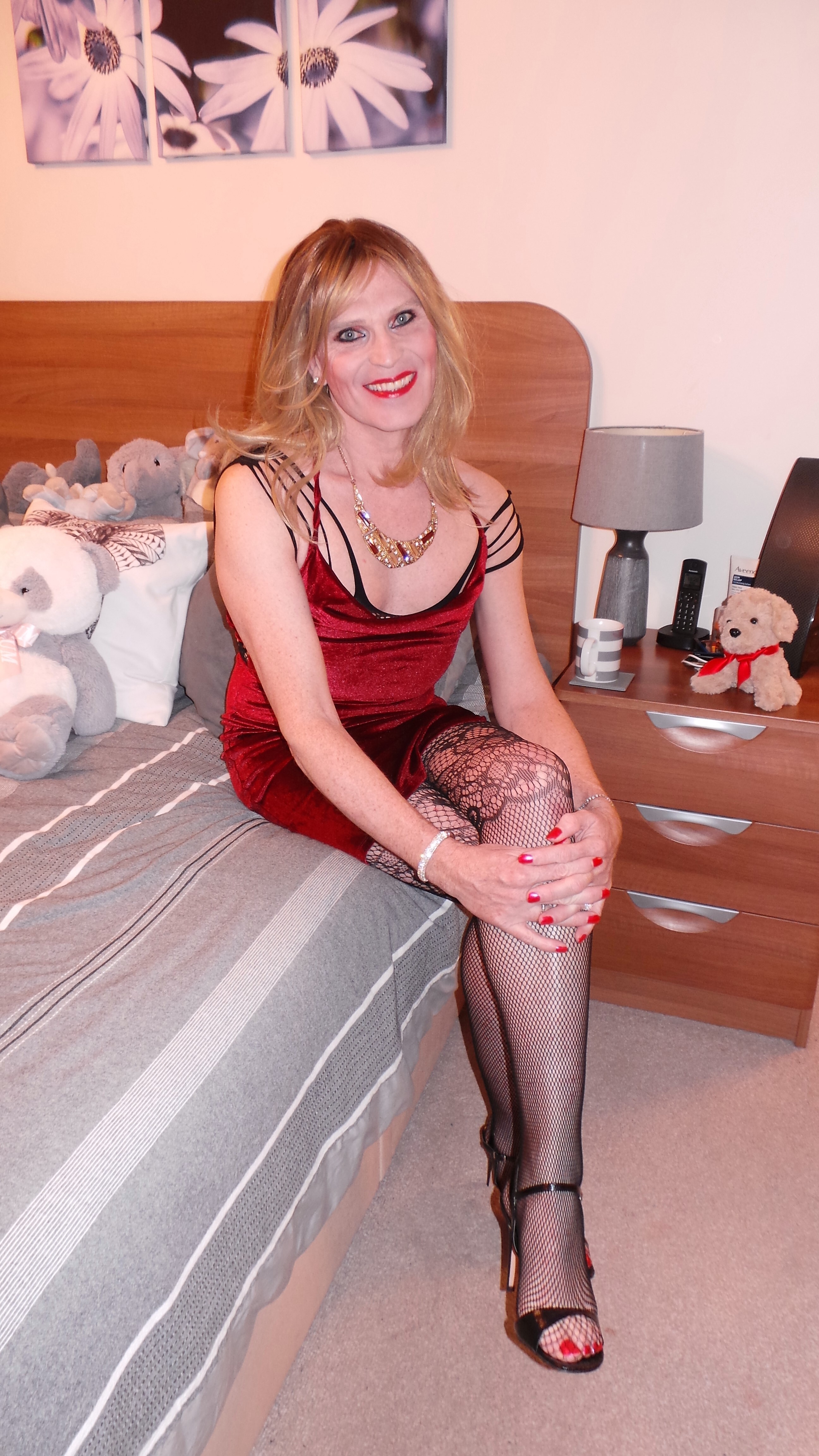 Velvet Red Dress Photo 11