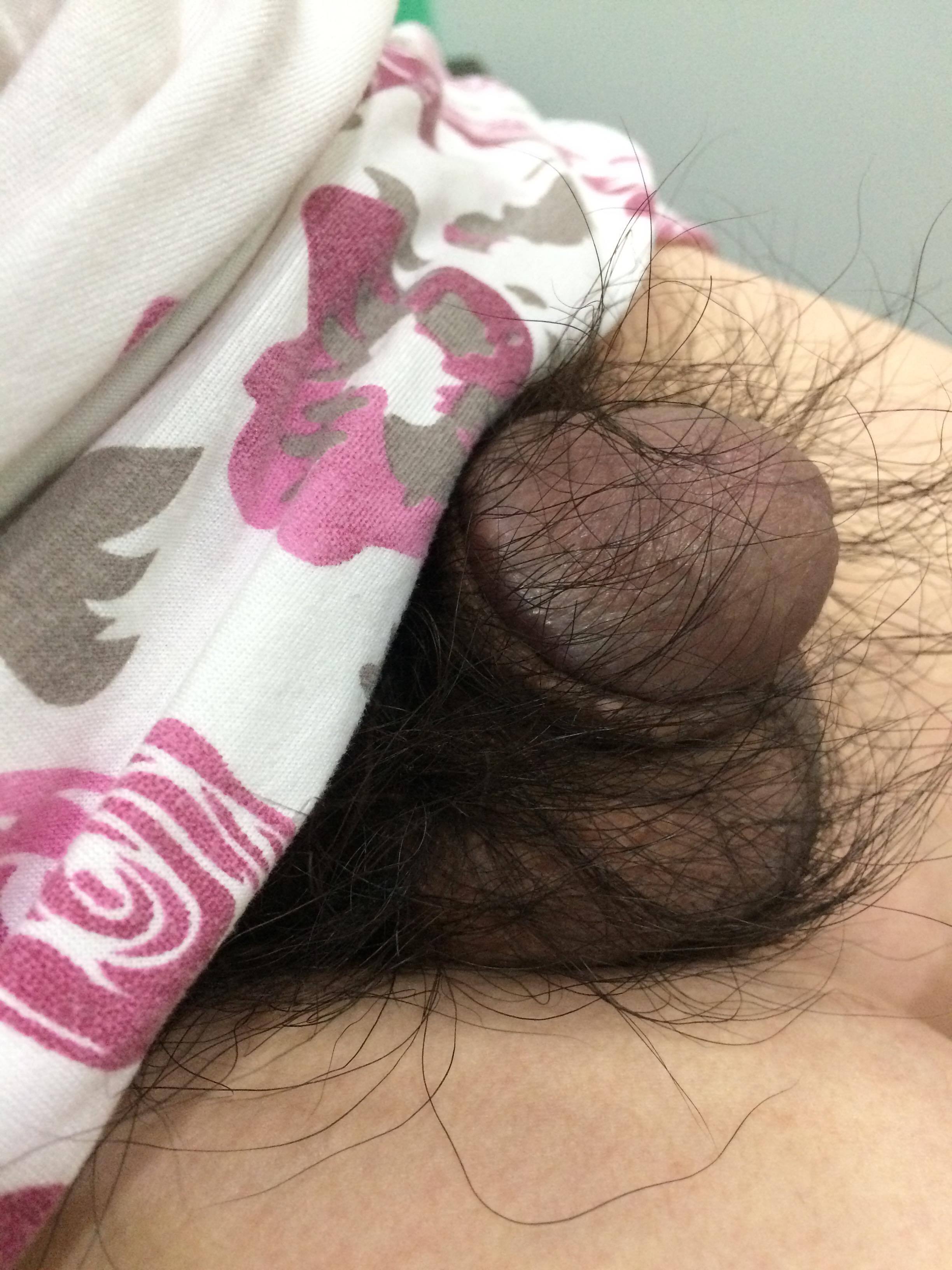 No Cage No Hormones Photo 1