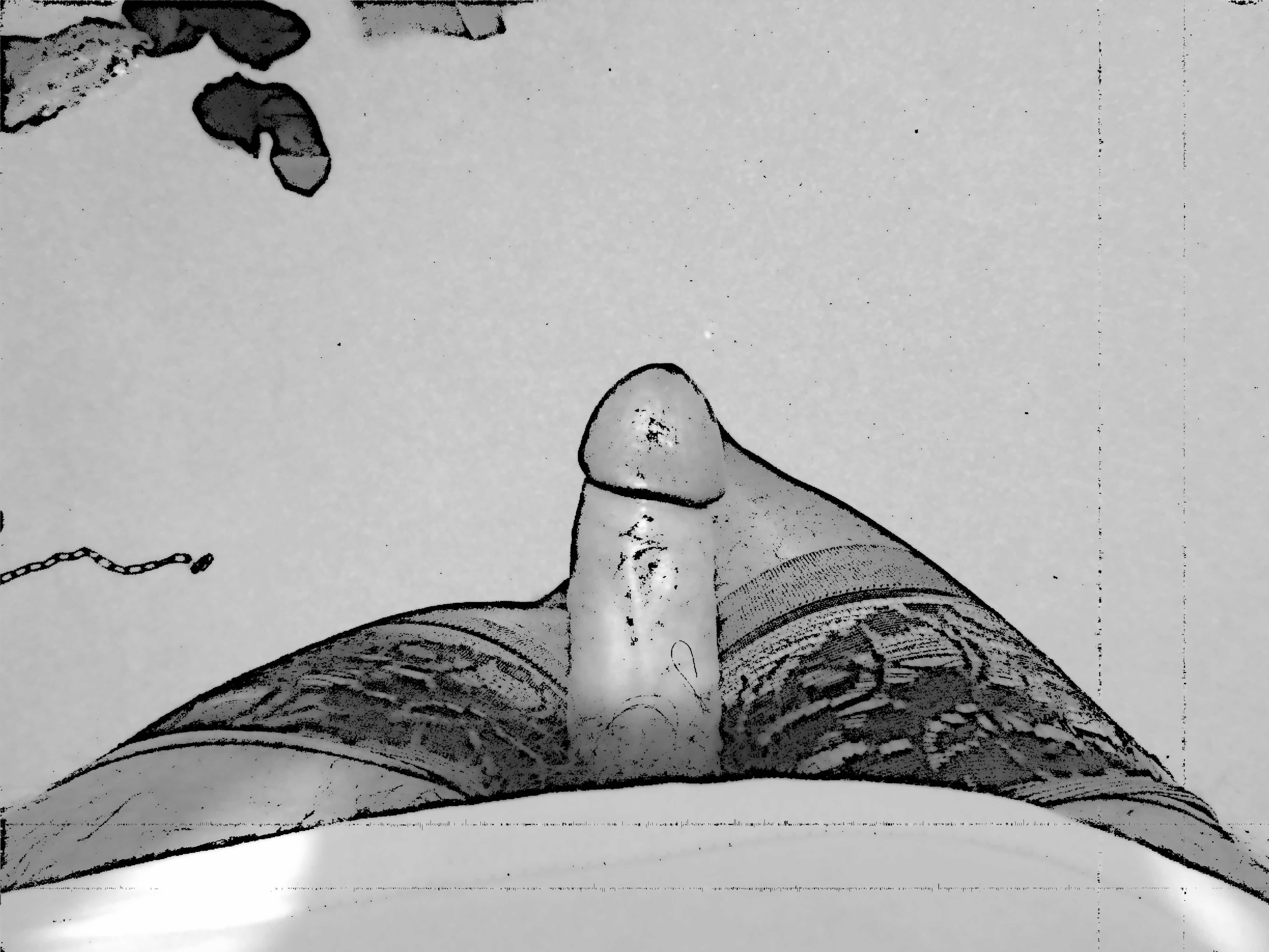 Cd Cock Photos With An Ai Cartoon Filter Photo 19