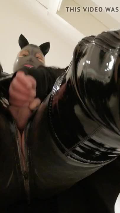 Latex Kitten Only Wants To Play