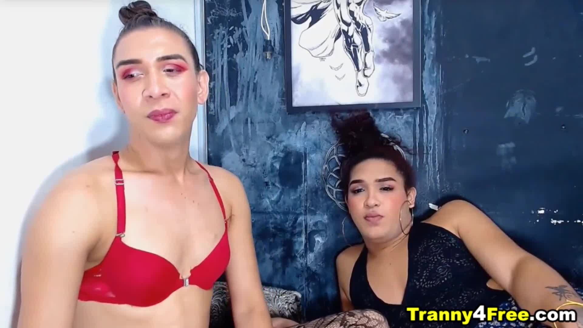 Tranny Couple Pleasure Each Other Dicks