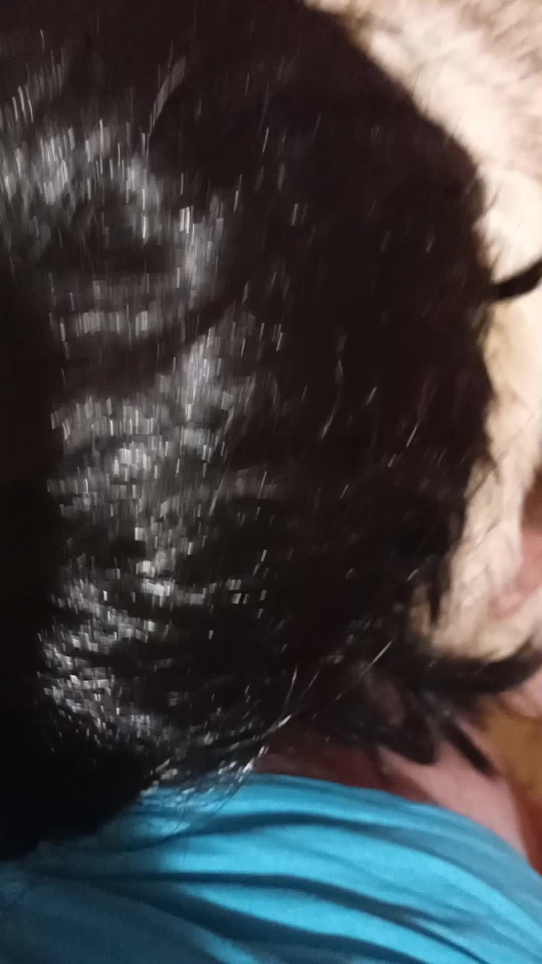 Suck Master Cock